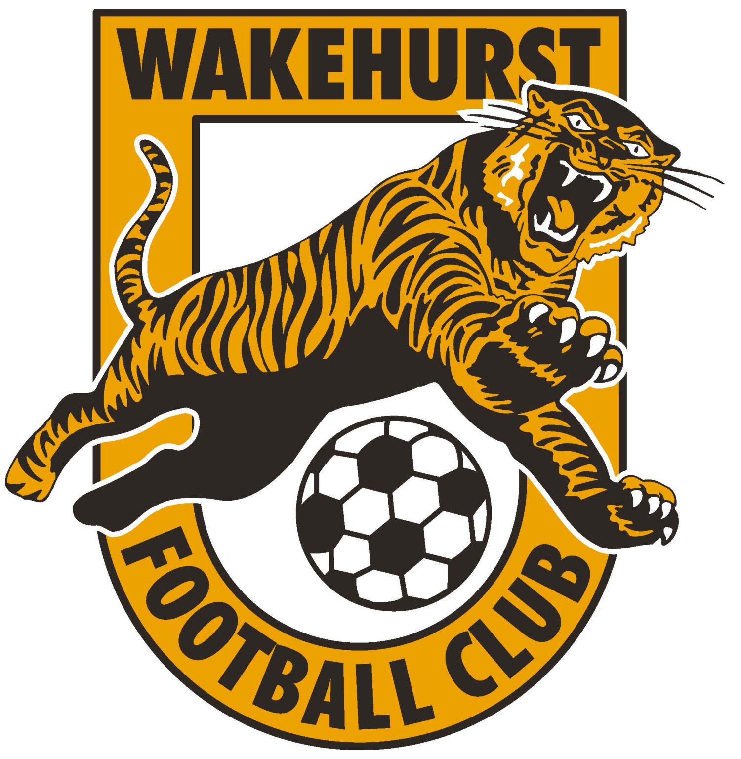 Participation Programs