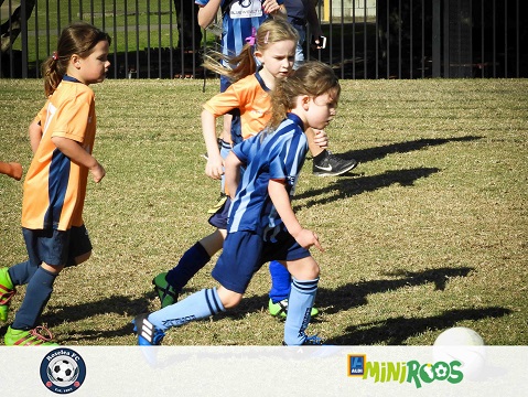 Roselea FC host ALDI MiniRoos gala day - Football NSW