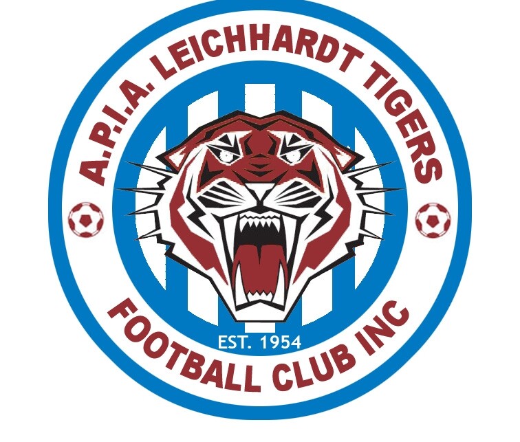 2009/10 APIA Futsal Development Academy - Football NSW