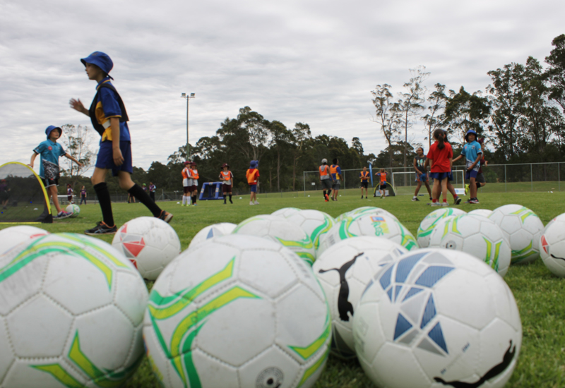 NIFC ALDI MiniRoos Coaching Course - Football NSW