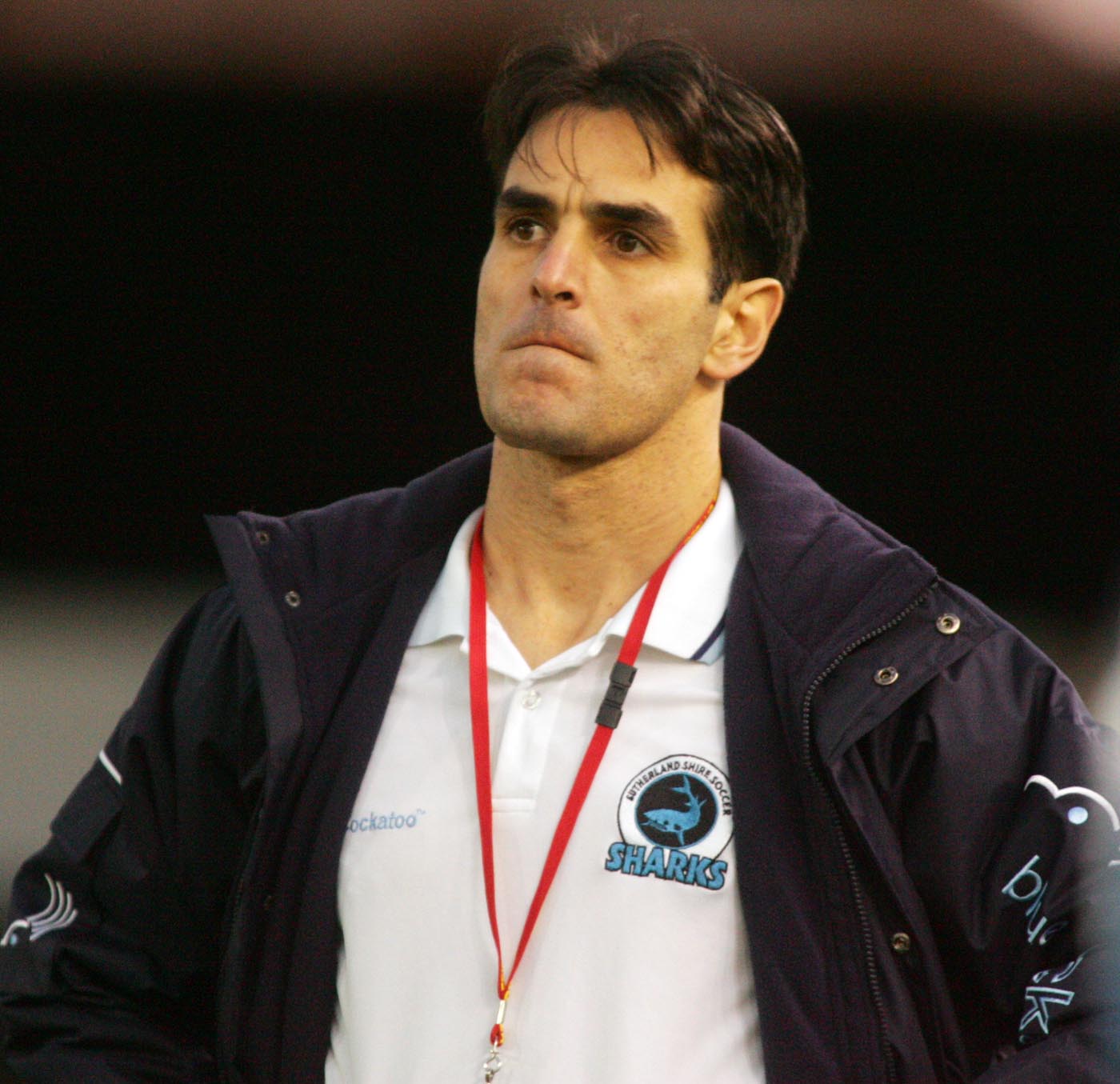 Robbie Stanton takes charge of the Sutherland Sharks for 2009 ...