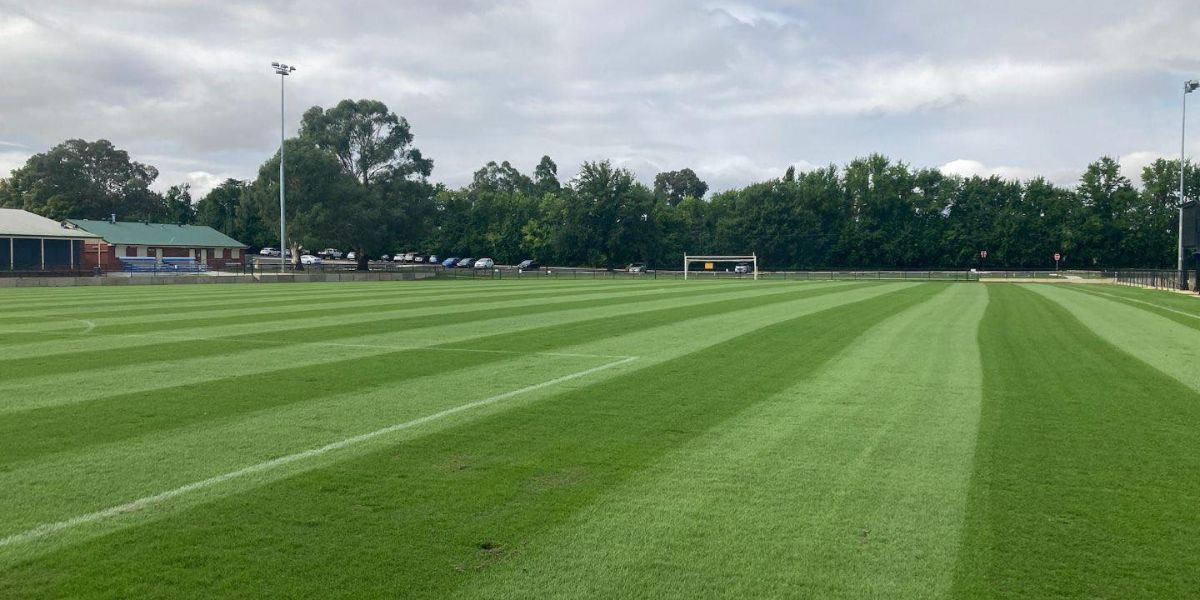 Proctor Park Challenge ready for take off - Football NSW