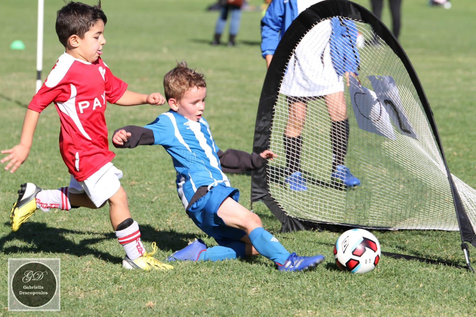 Parramatta City FC host Granville Football Association Gala Day ...