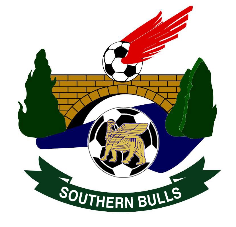 John Caruana resigns from Southern Bulls coaching post - Football NSW